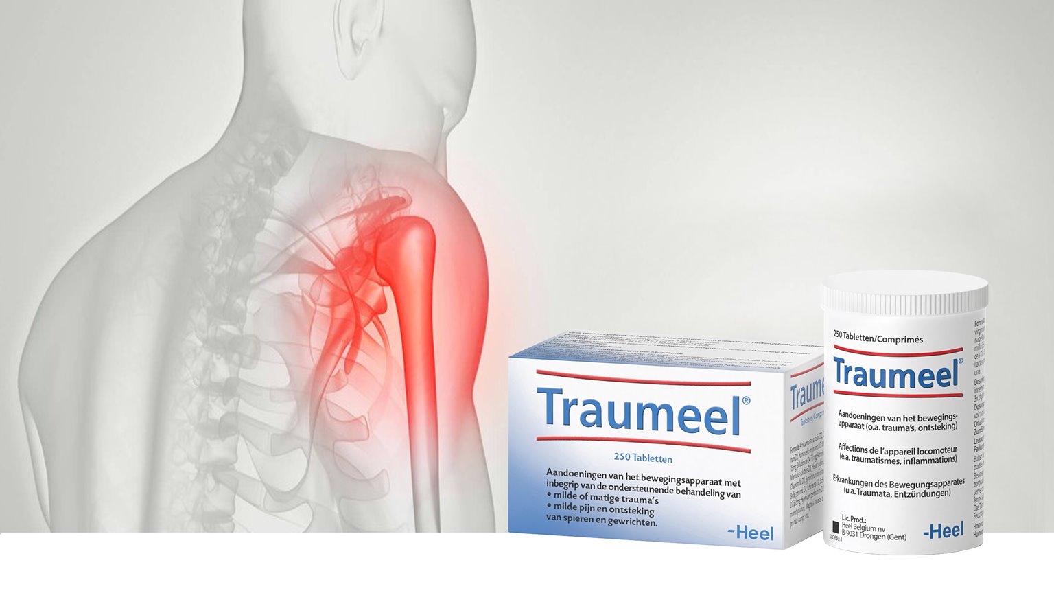 Traumeel - Traumeel Tabletten